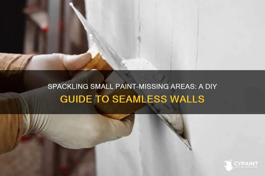 Spackling Small Paint-Missing Areas: A Diy Guide To Seamless Walls ...