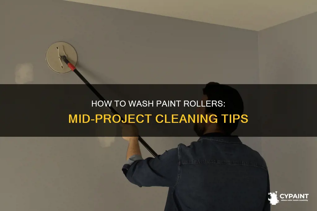 How To Wash Paint Rollers: Mid-Project Cleaning Tips | CyPaint