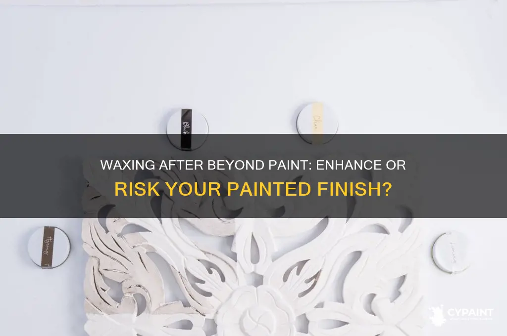 Waxing After Beyond Paint: Enhance Or Risk Your Painted Finish? | CyPaint