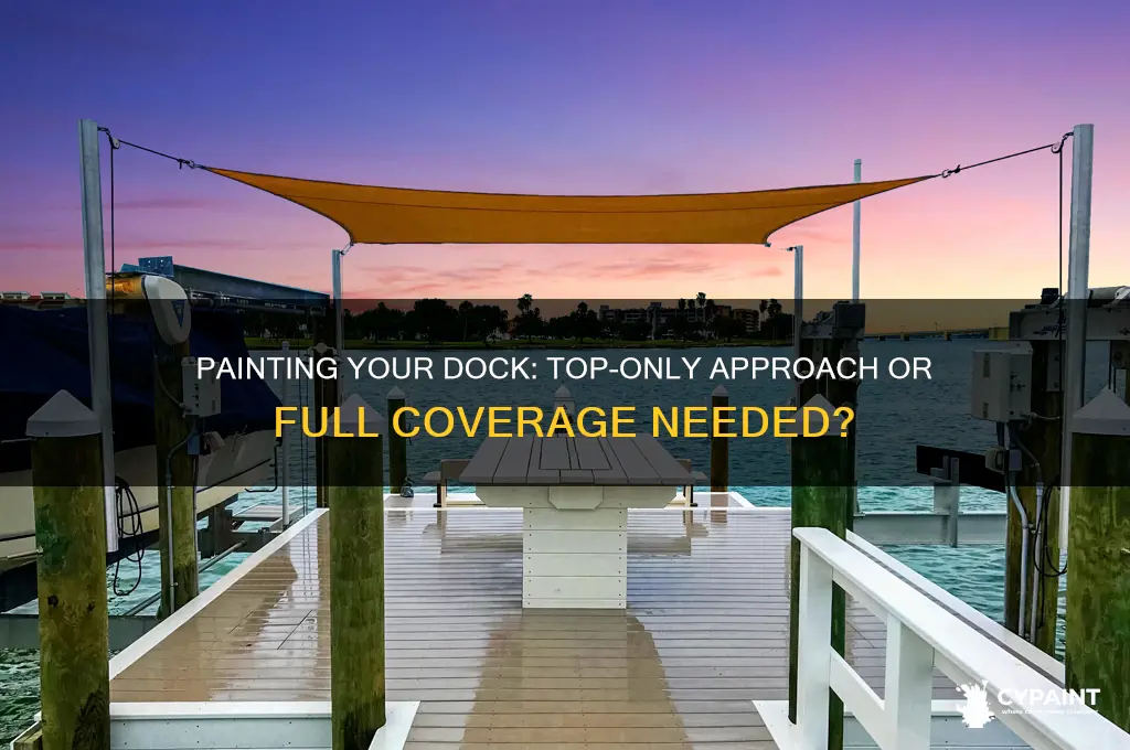 Painting Your Dock: Top-Only Approach Or Full Coverage Needed? | CyPaint