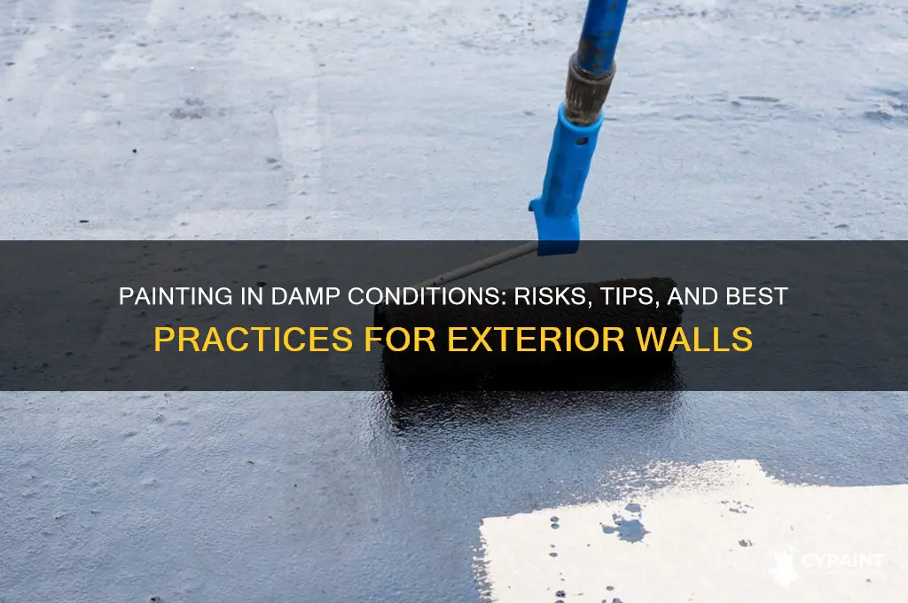Painting In Damp Conditions: Risks, Tips, And Best Practices For ...