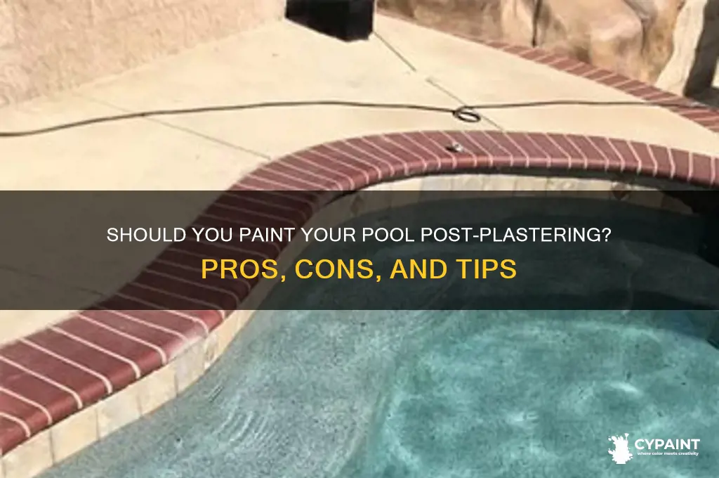 Should You Paint Your Pool Post-Plastering? Pros, Cons, And Tips | CyPaint
