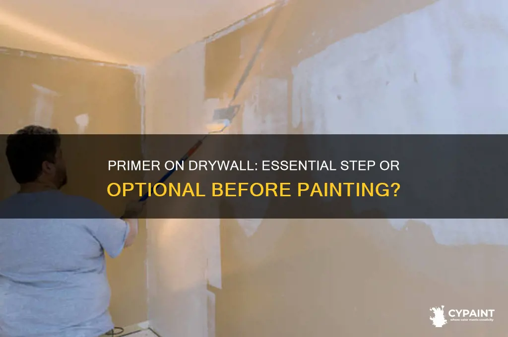 Primer On Drywall: Essential Step Or Optional Before Painting? | CyPaint