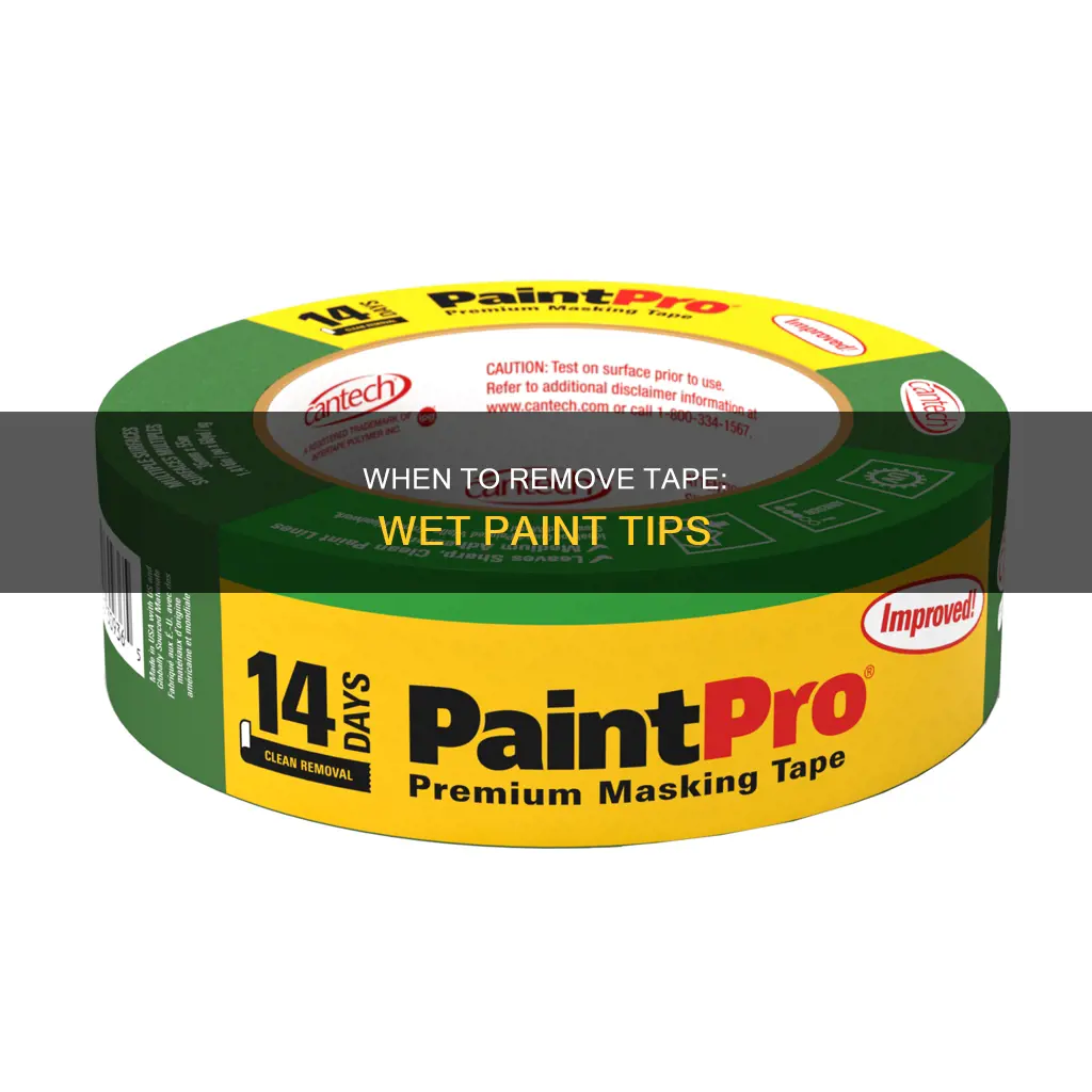 When To Remove Tape: Wet Paint Tips | CyPaint