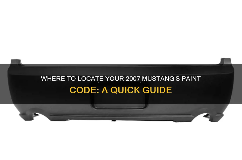 Where To Locate Your 2007 Mustang's Paint Code: A Quick Guide | CyPaint