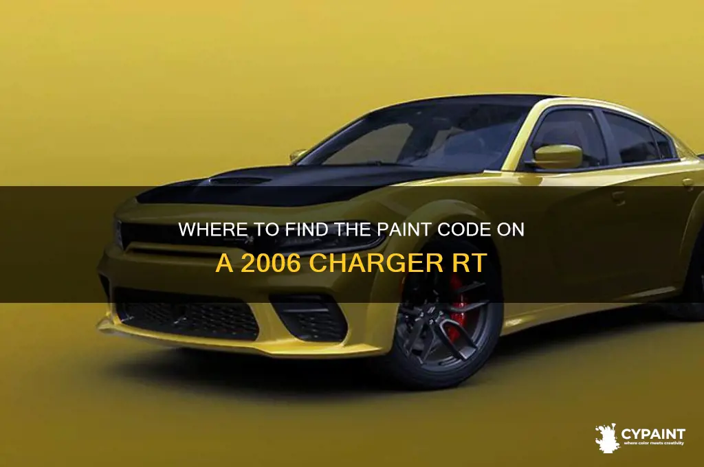 Where To Find The Paint Code On A 2006 Charger Rt | CyPaint