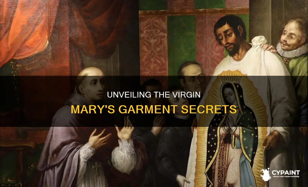 Unveiling The Virgin Mary's Garment Secrets | CyPaint