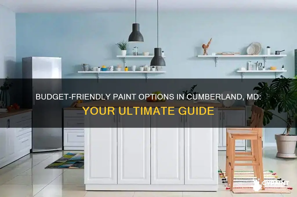 Budget-Friendly Paint Options In Cumberland, Md: Your Ultimate Guide ...