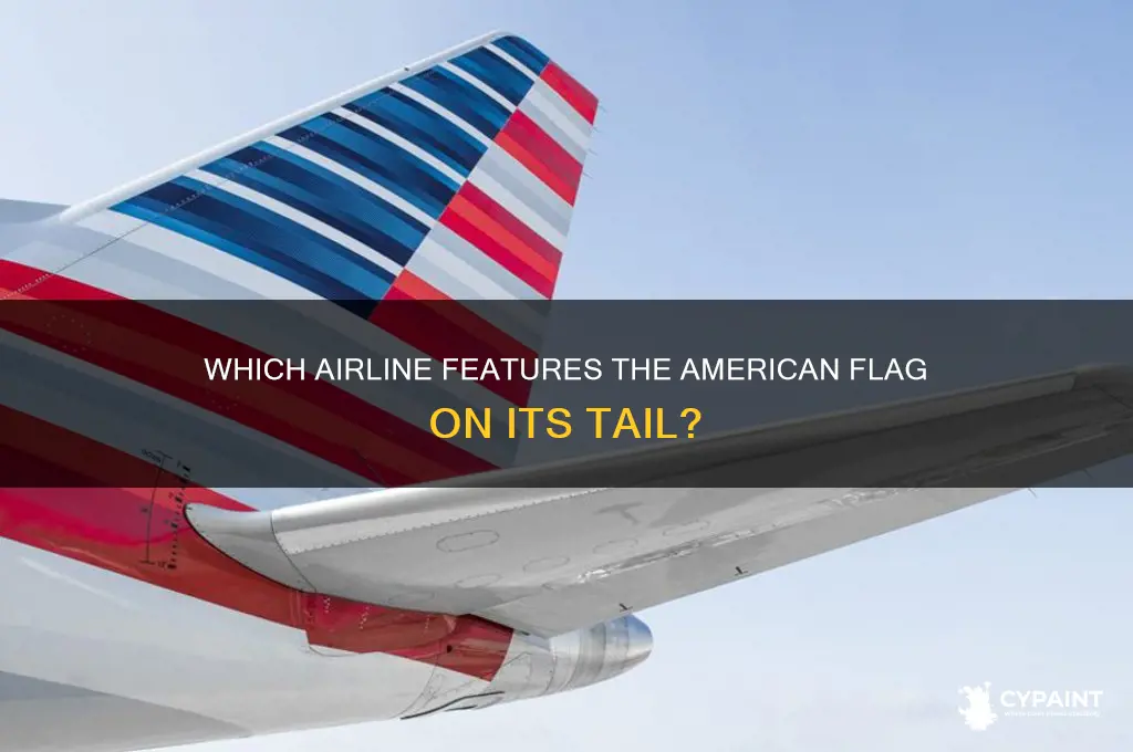 Which Airline Features The American Flag On Its Tail? | CyPaint