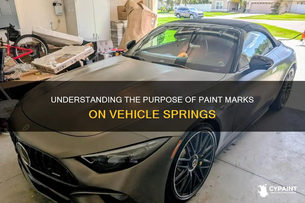 Understanding The Purpose Of Paint Marks On Vehicle Springs | CyPaint