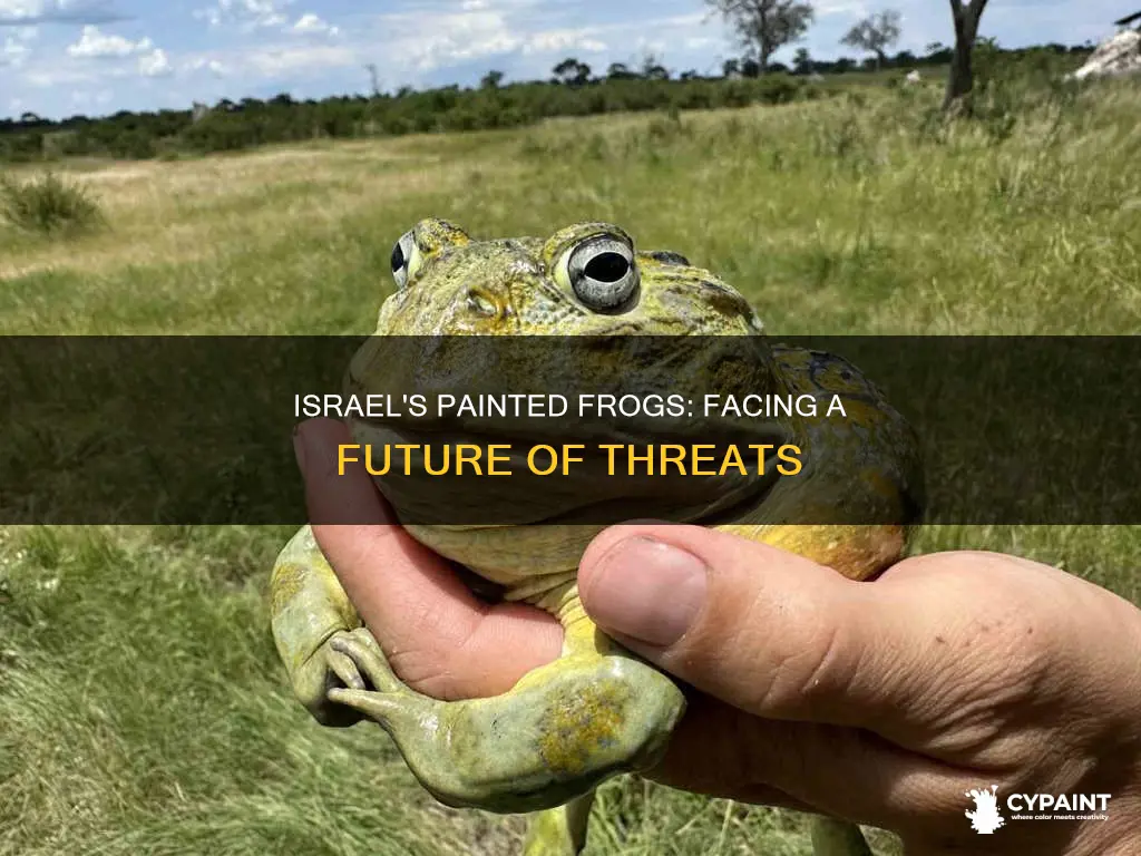 Israel's Painted Frogs: Facing A Future Of Threats | CyPaint