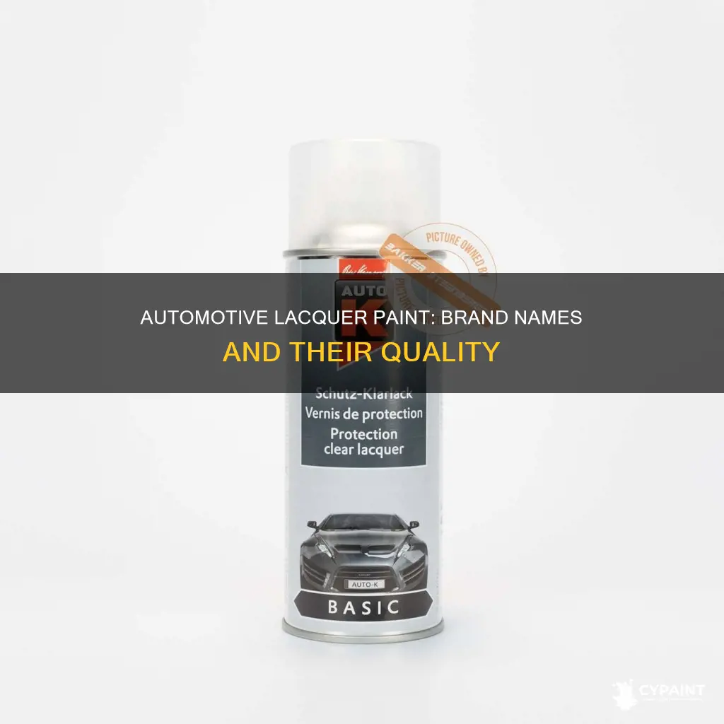 Automotive Lacquer Paint: Brand Names And Their Quality | CyPaint
