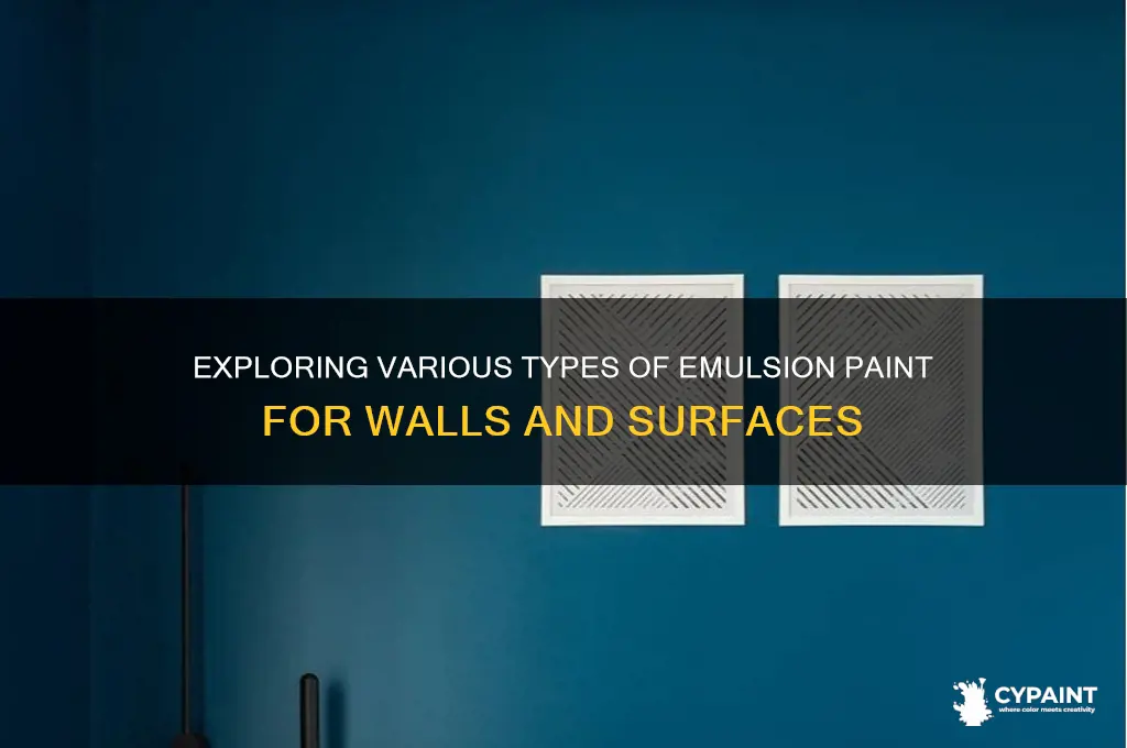 Exploring Various Types Of Emulsion Paint For Walls And Surfaces | CyPaint