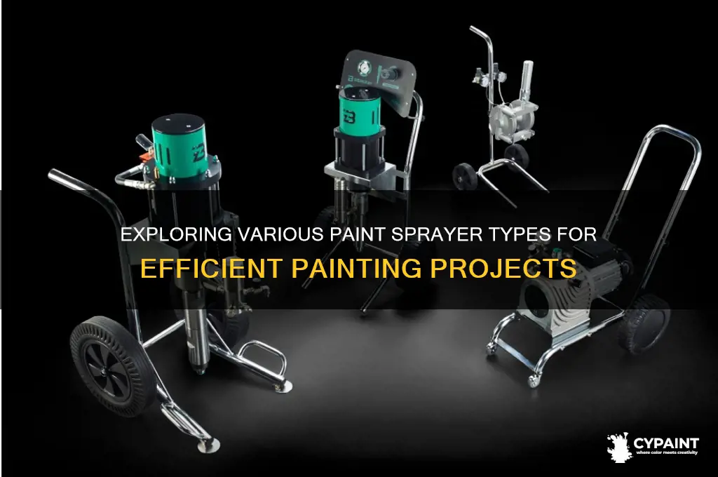 Exploring Various Paint Sprayer Types For Efficient Painting Projects ...