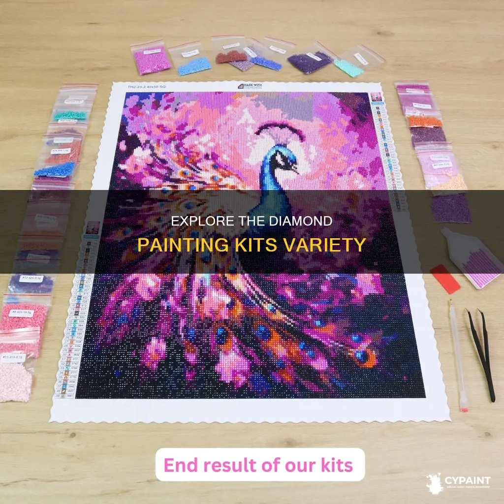 Explore The Diamond Painting Kits Variety | CyPaint