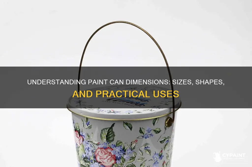 Understanding Paint Can Dimensions: Sizes, Shapes, And Practical Uses ...