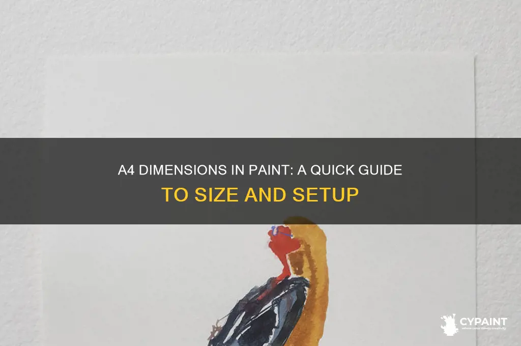 A4 Dimensions In Paint: A Quick Guide To Size And Setup | CyPaint