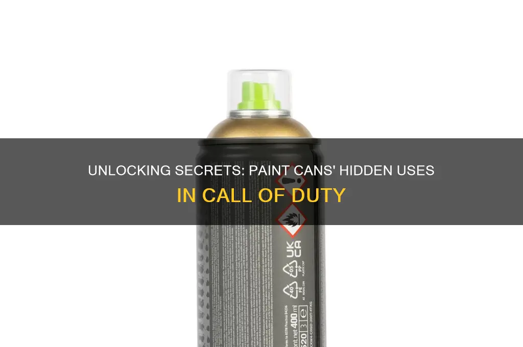 Unlocking Secrets: Paint Cans' Hidden Uses In Call Of Duty | CyPaint