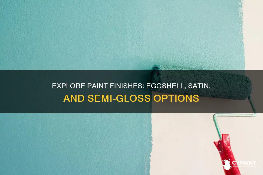Explore Paint Finishes: Eggshell, Satin, And Semi-Gloss Options | CyPaint
