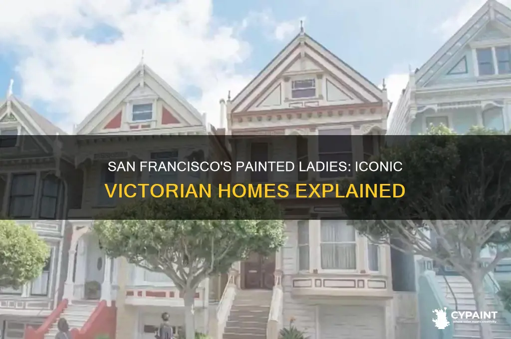 San Francisco's Painted Ladies: Iconic Victorian Homes Explained | CyPaint