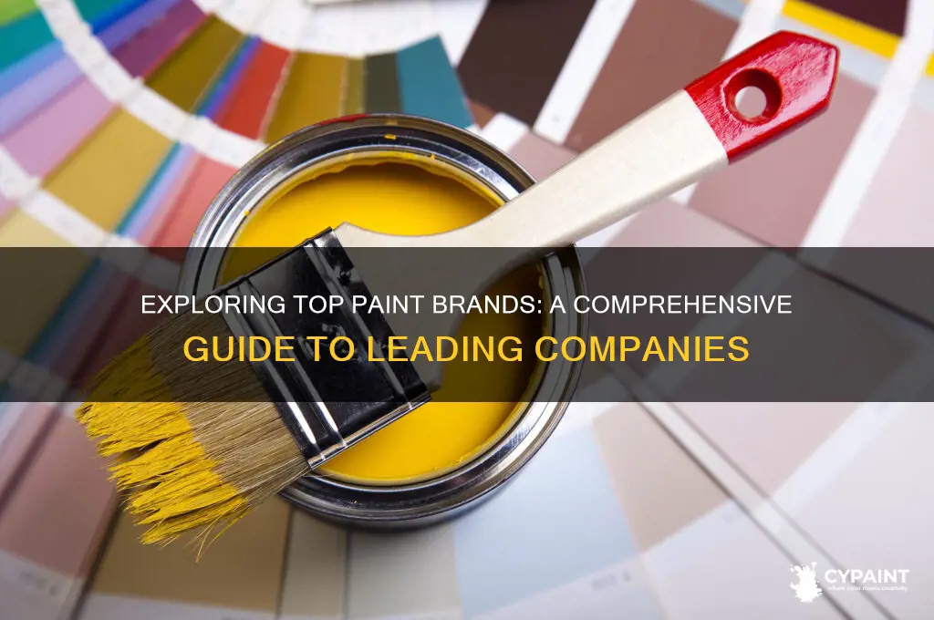 Exploring Top Paint Brands: A Comprehensive Guide To Leading Companies ...