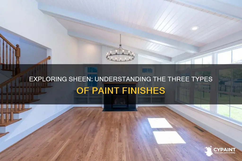 Exploring Sheen: Understanding The Three Types Of Paint Finishes | CyPaint