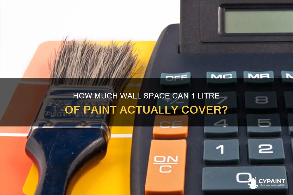 How Much Wall Space Can 1 Litre Of Paint Actually Cover? | CyPaint