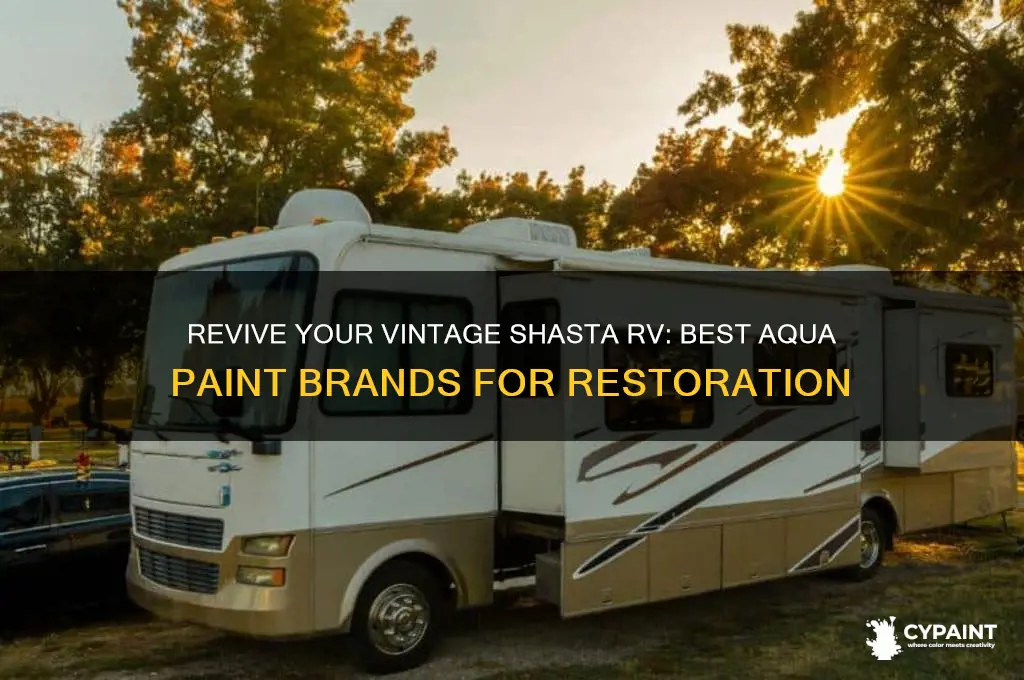 Revive Your Vintage Shasta Rv: Best Aqua Paint Brands For Restoration ...