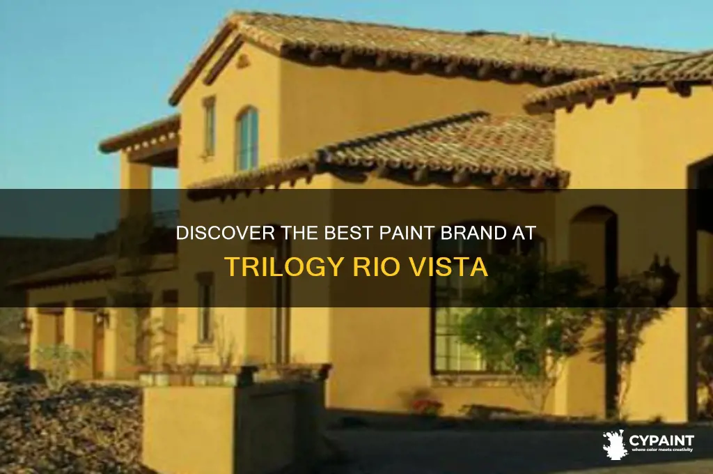 Discover The Best Paint Brand At Trilogy Rio Vista | CyPaint