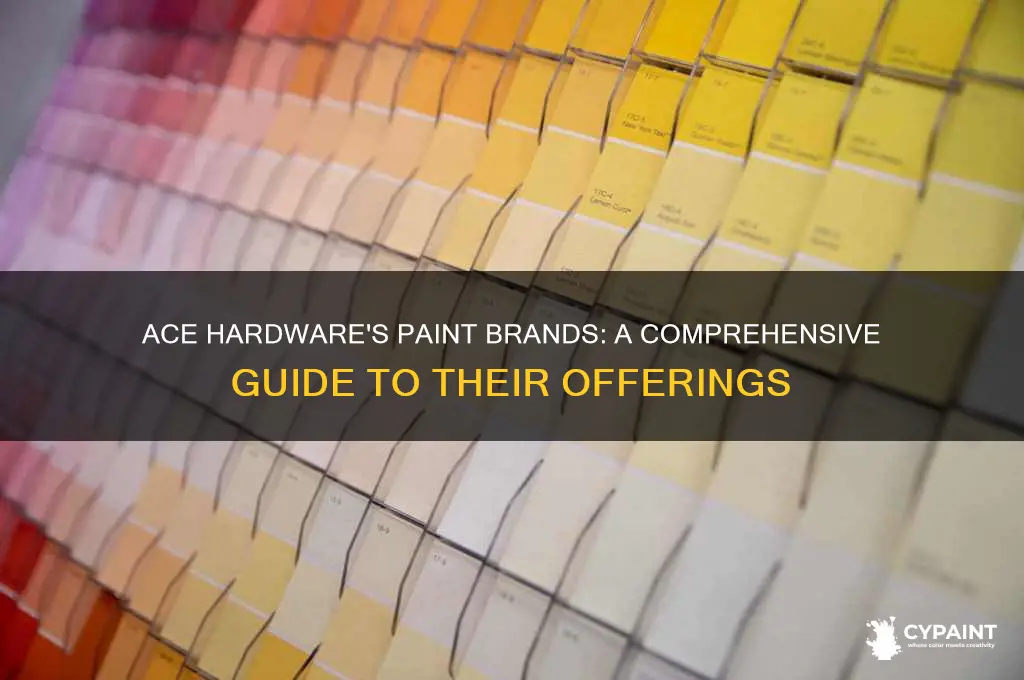 Ace Hardware's Paint Brands: A Comprehensive Guide To Their Offerings ...