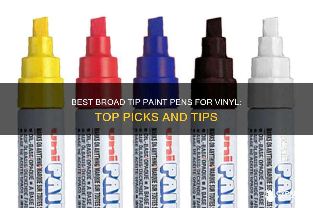 Best Broad Tip Paint Pens For Vinyl: Top Picks And Tips | CyPaint