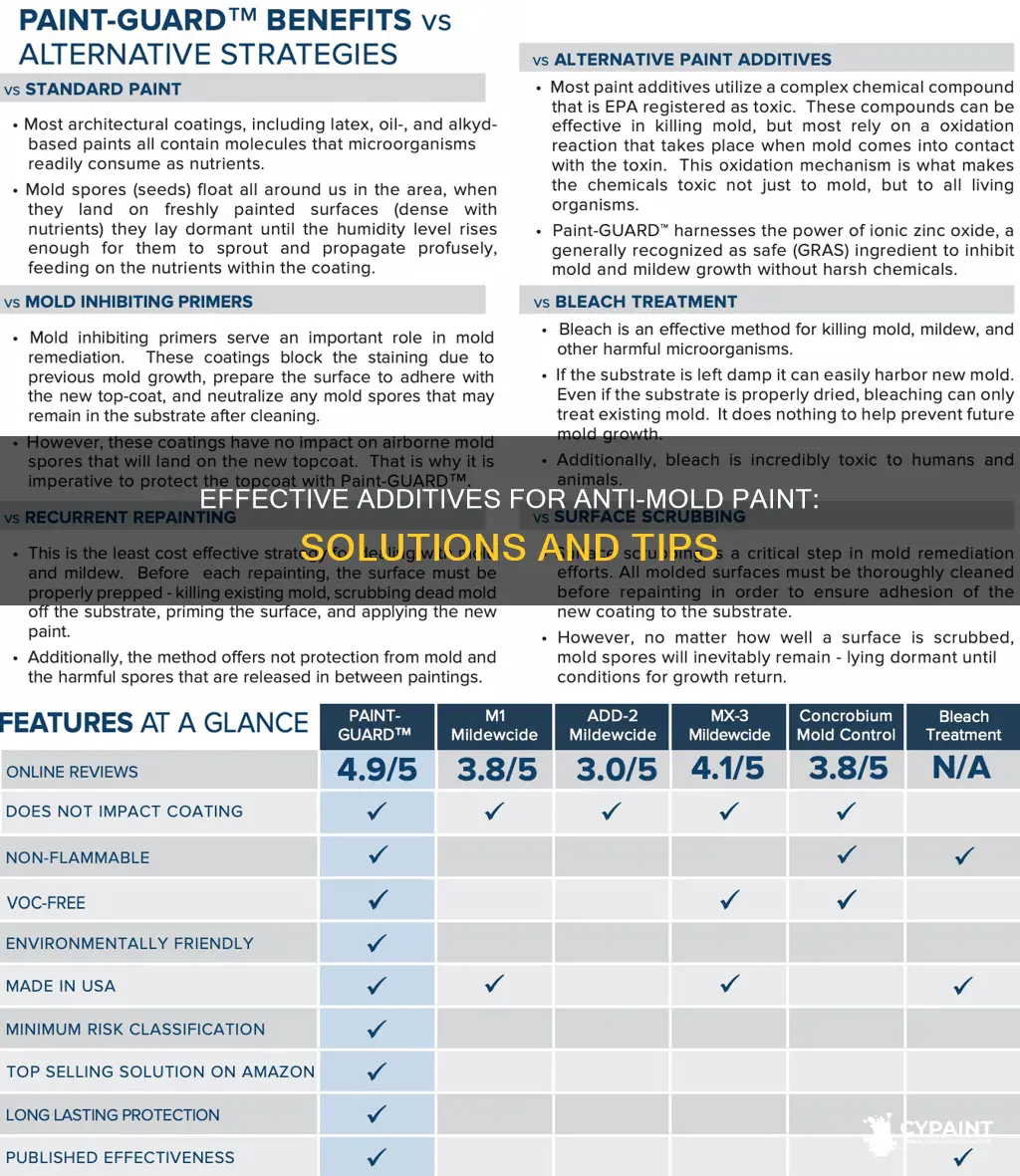 Effective Additives For Anti-Mold Paint: Solutions And Tips | CyPaint
