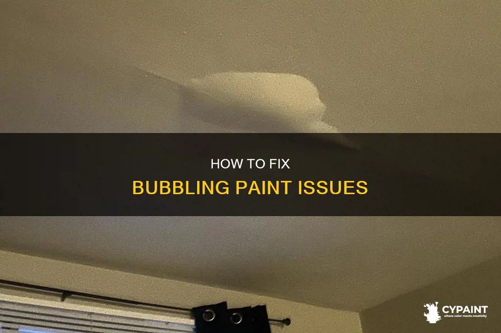 How To Fix Bubbling Paint Issues | CyPaint