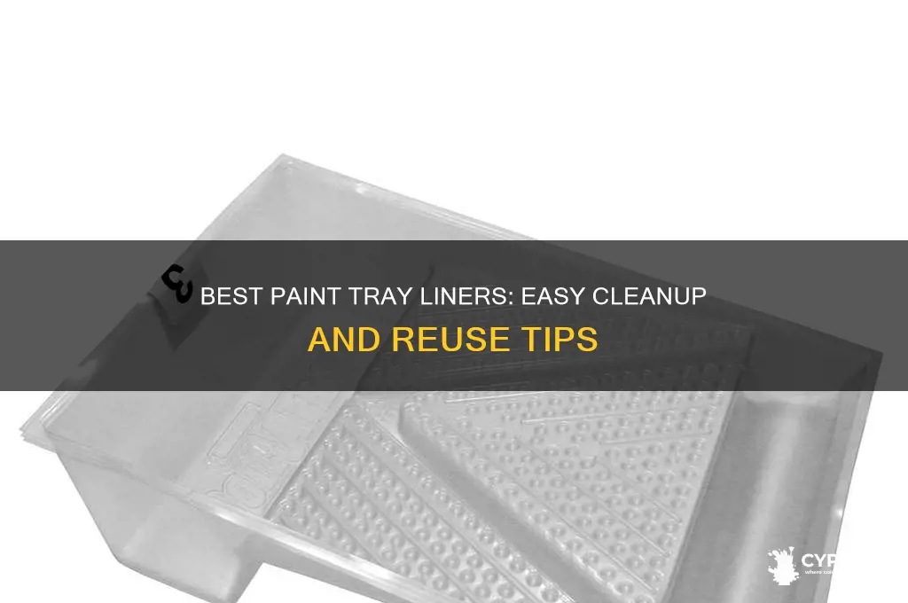 Best Paint Tray Liners: Easy Cleanup And Reuse Tips | CyPaint