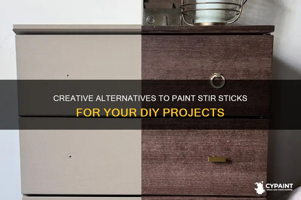 Creative Alternatives To Paint Stir Sticks For Your Diy Projects | CyPaint