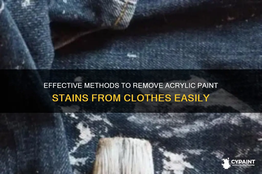 Effective Methods To Remove Acrylic Paint Stains From Clothes Easily ...