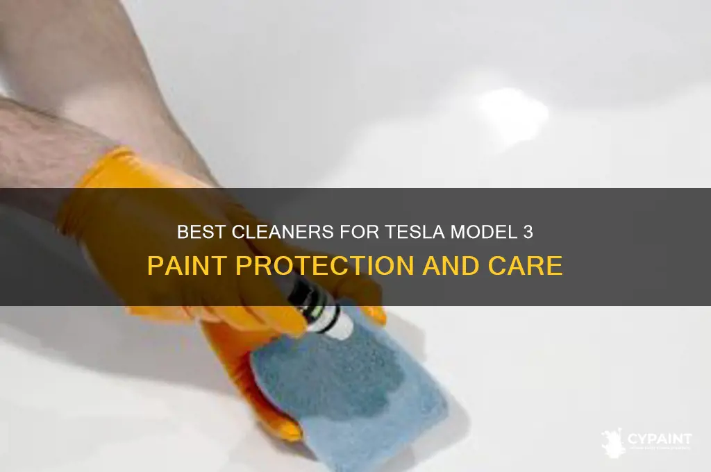 Best Cleaners For Tesla Model 3 Paint Protection And Care | CyPaint