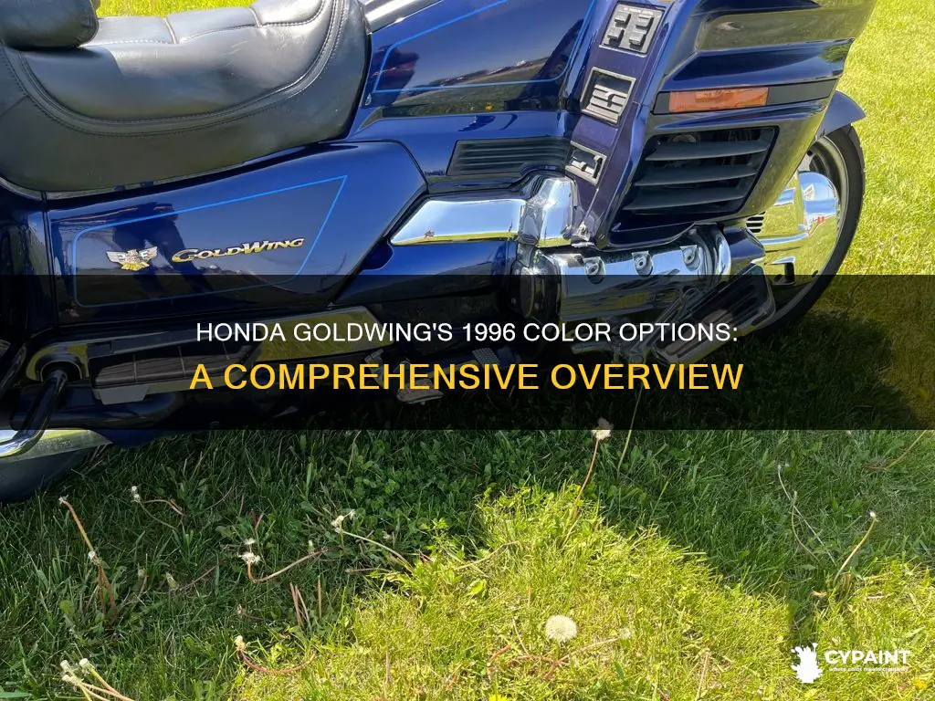 Honda Goldwing's 1996 Color Options: A Comprehensive Overview | CyPaint