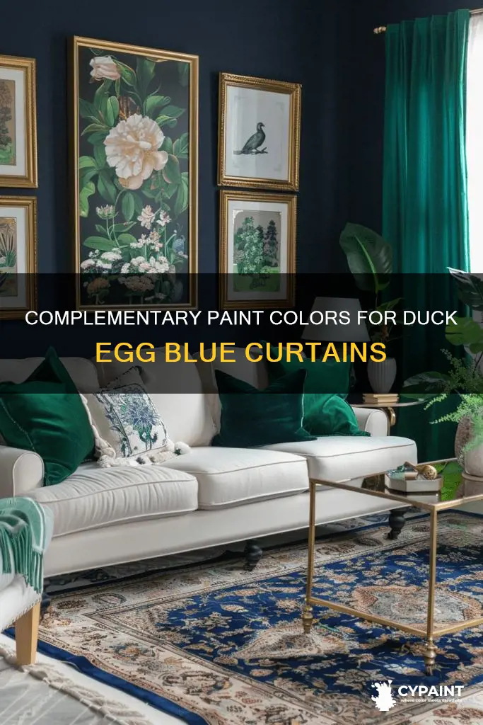 Complementary Paint Colors For Duck Egg Blue Curtains | CyPaint