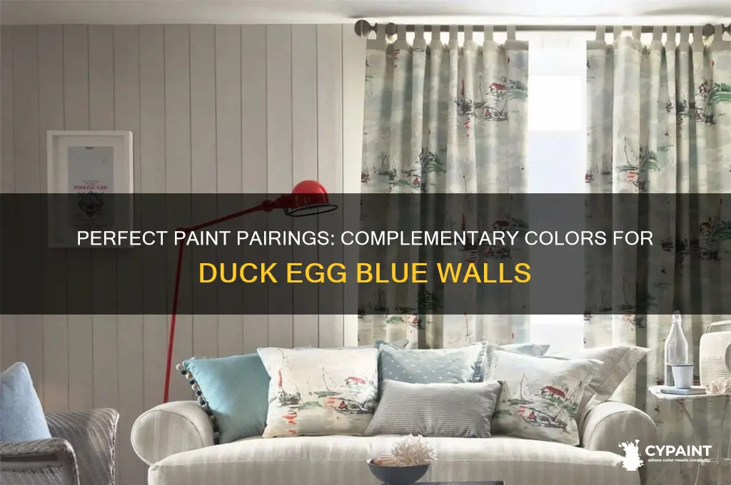 Perfect Paint Pairings: Complementary Colors For Duck Egg Blue Walls ...