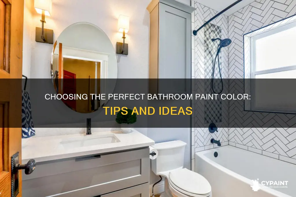 Choosing The Perfect Bathroom Paint Color: Tips And Ideas | CyPaint