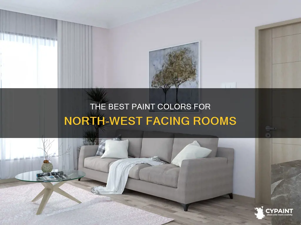 The Best Paint Colors For North-West Facing Rooms | CyPaint