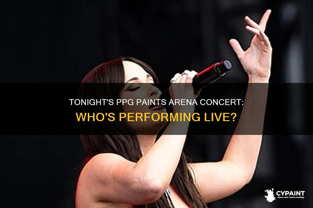Tonight's Ppg Paints Arena Concert: Who's Performing Live? | CyPaint