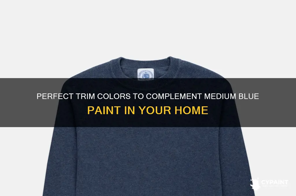 Perfect Trim Colors To Complement Medium Blue Paint In Your Home | CyPaint