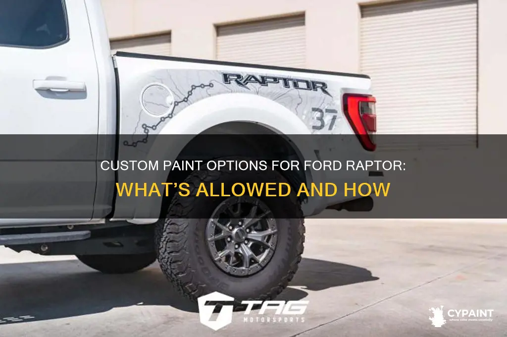 Custom Paint Options For Ford Raptor: What’S Allowed And How | CyPaint