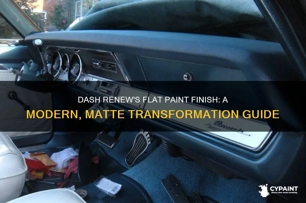 Dash Renew's Flat Paint Finish: A Modern, Matte Transformation Guide ...
