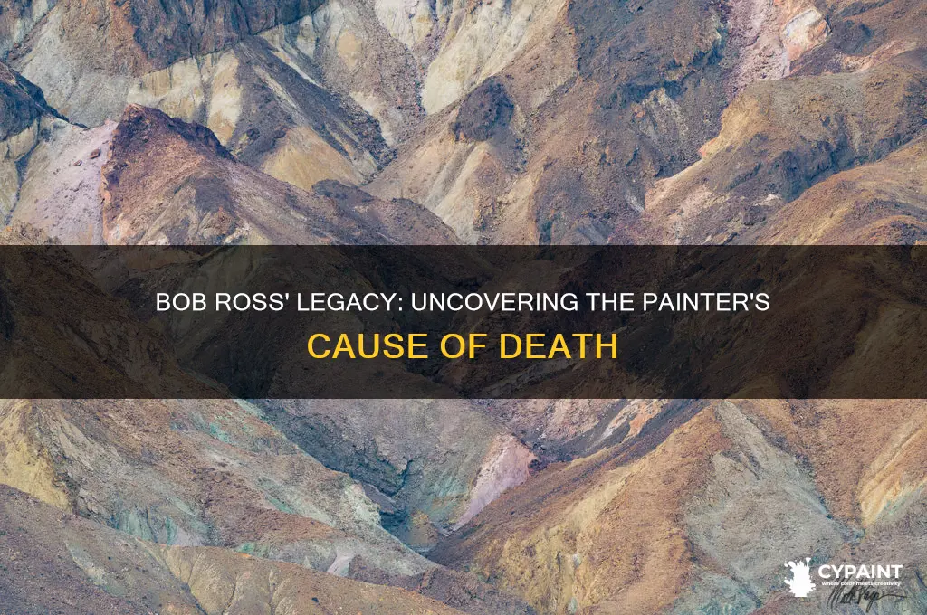 Bob Ross' Legacy: Uncovering The Painter's Cause Of Death | CyPaint