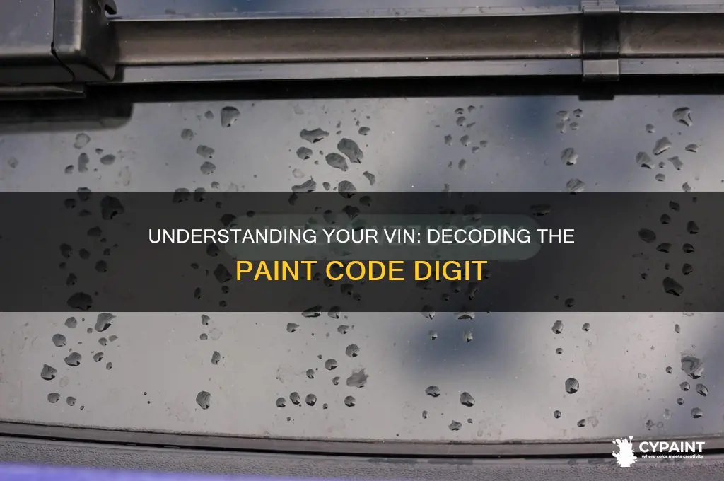 Understanding Your Vin: Decoding The Paint Code Digit | CyPaint