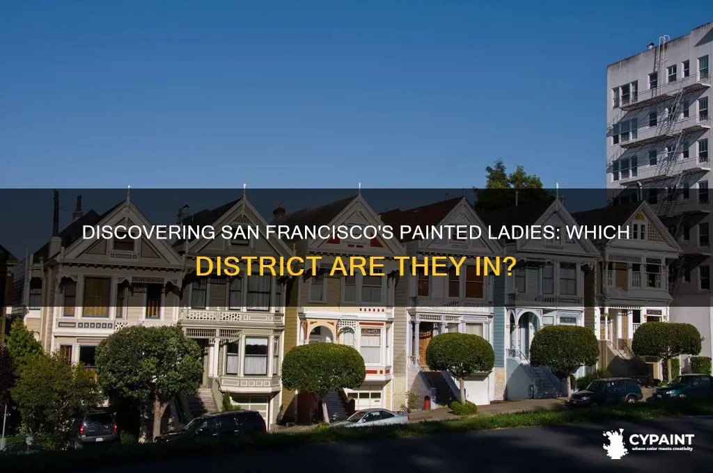 Discovering San Francisco's Painted Ladies: Which District Are They In ...