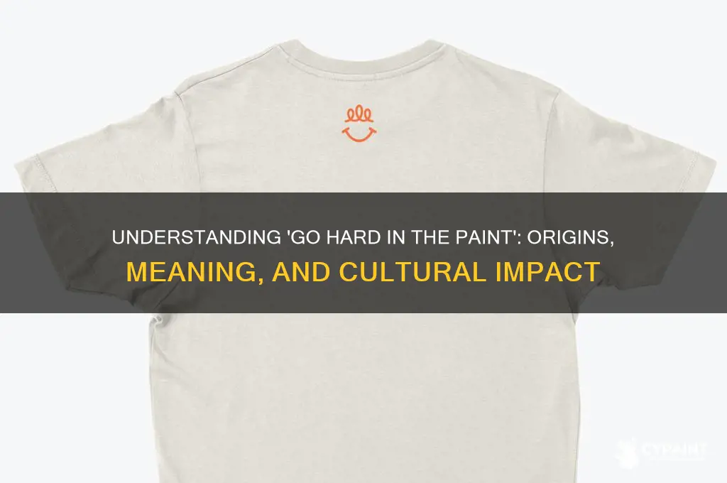 Understanding 'Go Hard In The Paint': Origins, Meaning, And Cultural ...